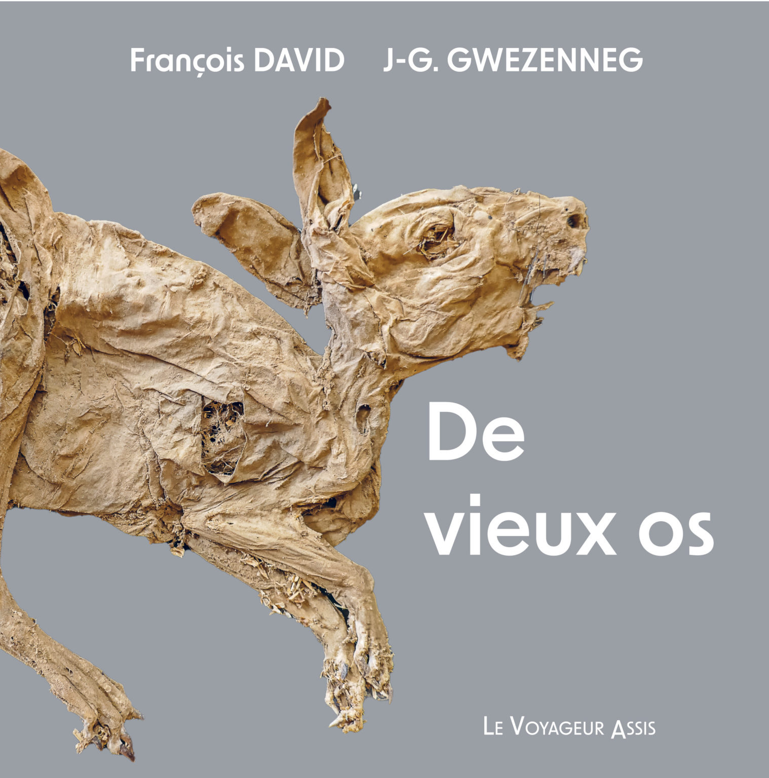 François David – Site d'auteur